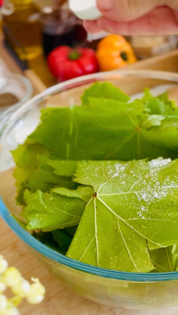 Stuffed Grape Leaves (Dolma / Sarma) - Galore Of Flavors
